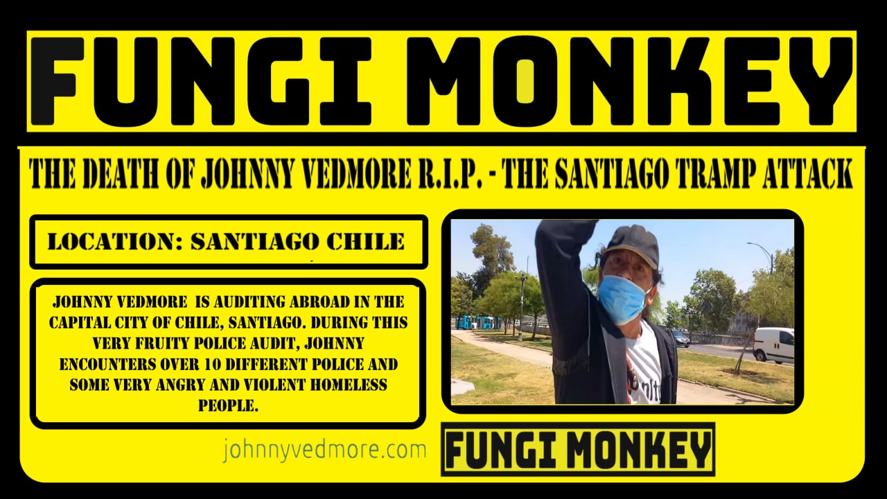 The Death of Johnny Vedmore R.I.P. – The Santiago Tramp Attack ...