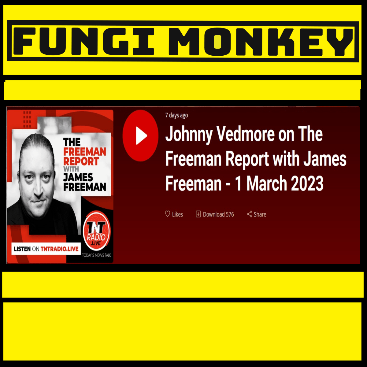 Johnny Was on the Freeman Report on TNT Radio – johnnyvedmore.com